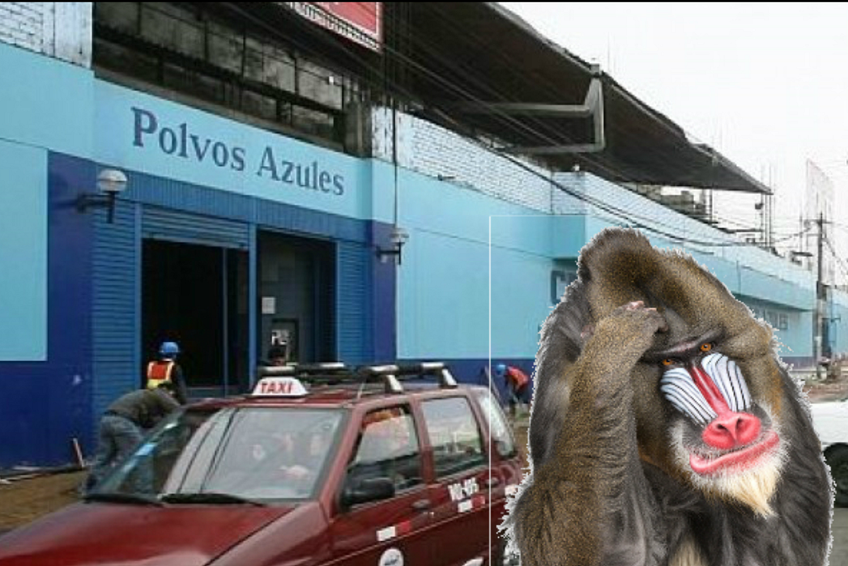 Yo, Jaimico. Después de perder lo poco que me… | by Mandril | Medium