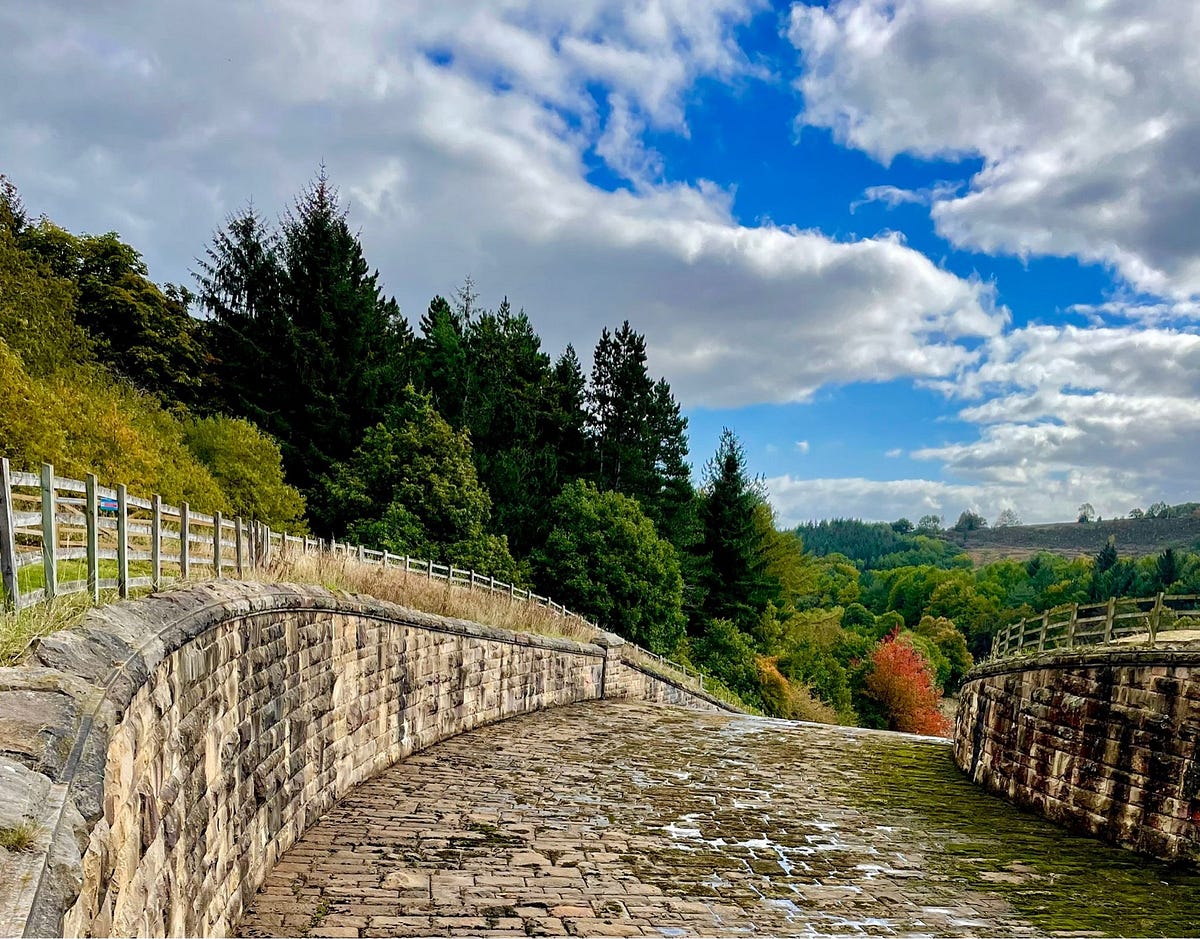 Transitioning Careers. | by Anon | Aug, 2024 | Medium