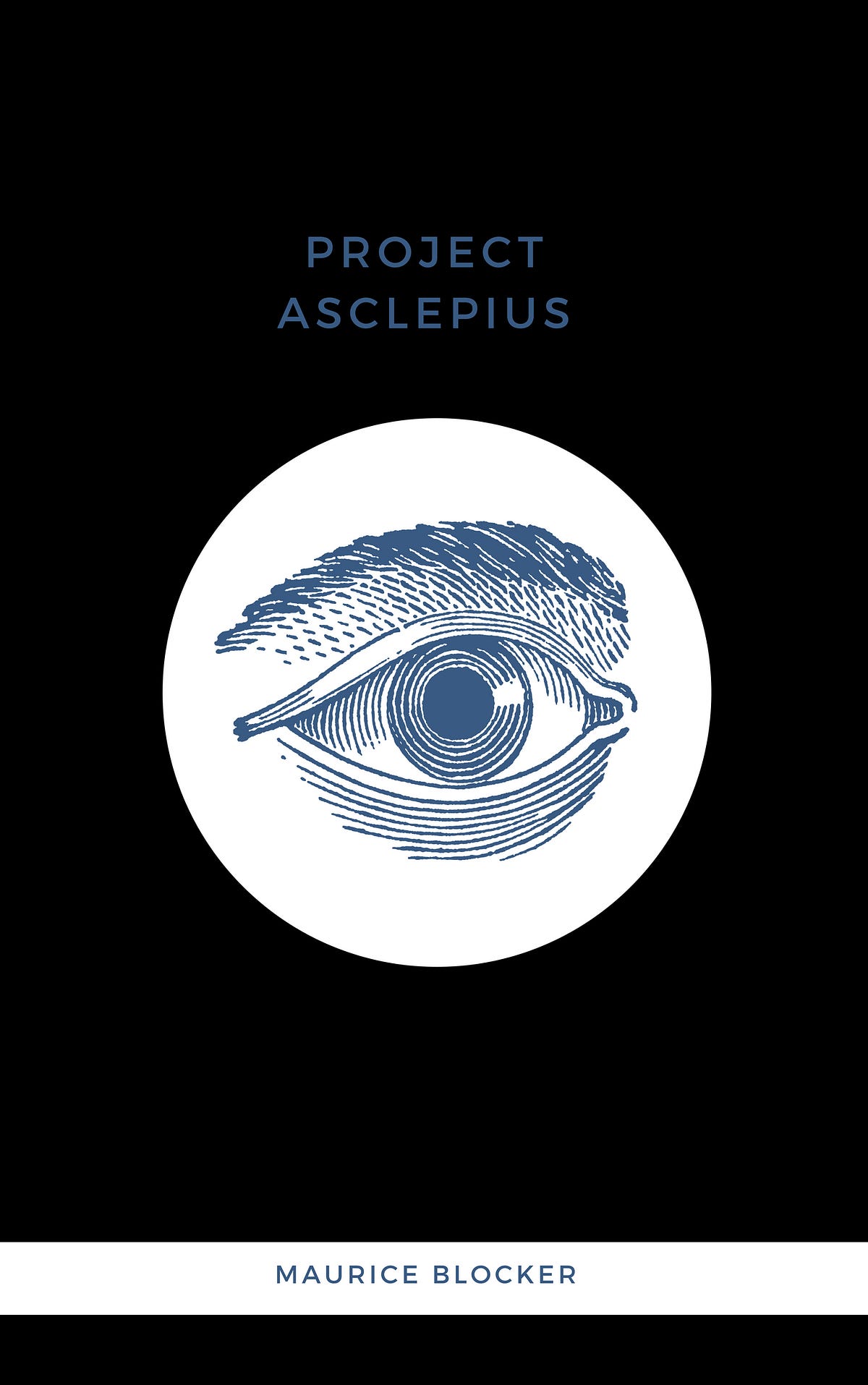 Project Asclepius. I’ve hacked many people. Never… | by maurice blocker ...