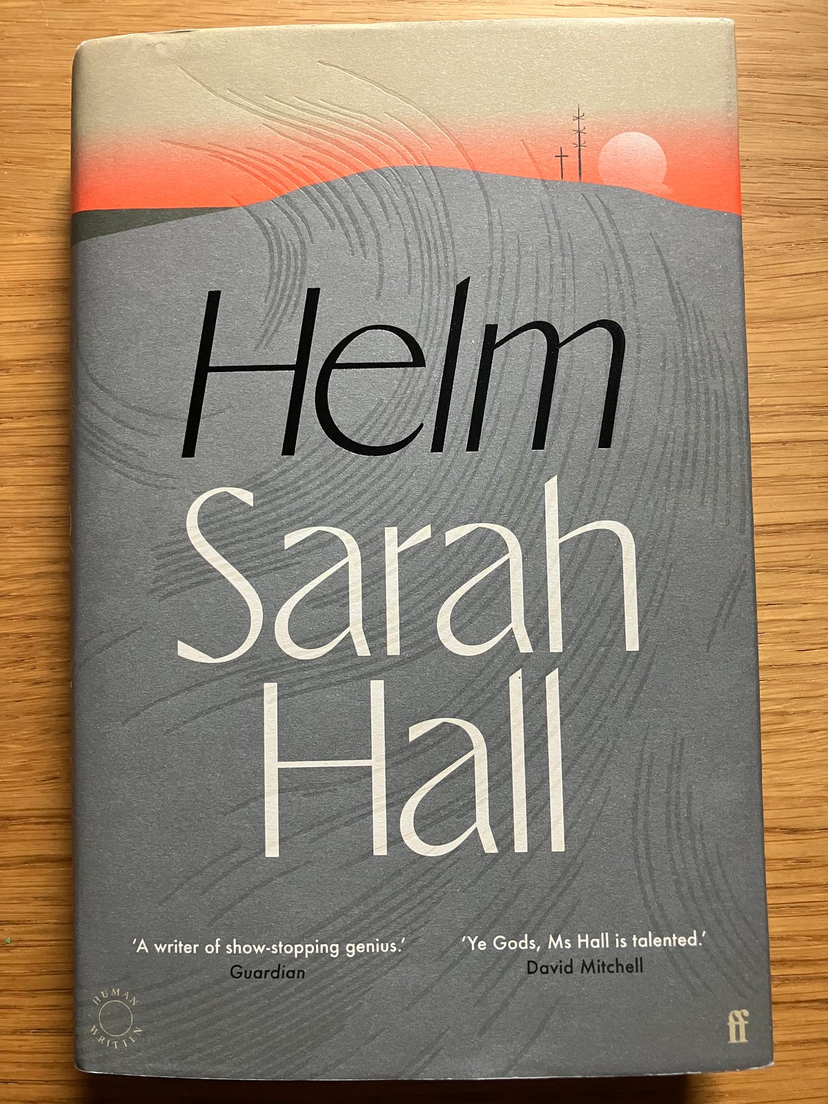 2026 Thumbnail Review #1 Helm by Sarah Hall | by Richard Swan | Jan ...