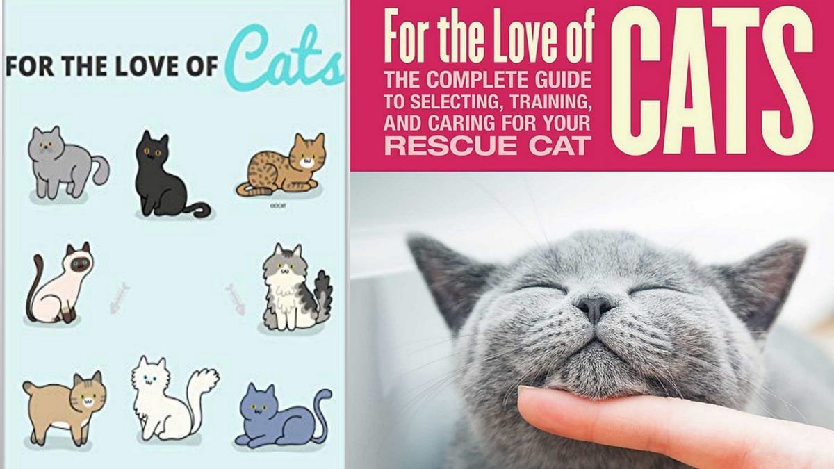 For The Love Of Cats. In this article will show you 10 proven… | by ...
