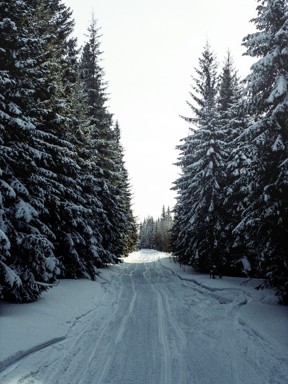 Frozen Call: A Short Horror Story | by Dk🎋 | Medium