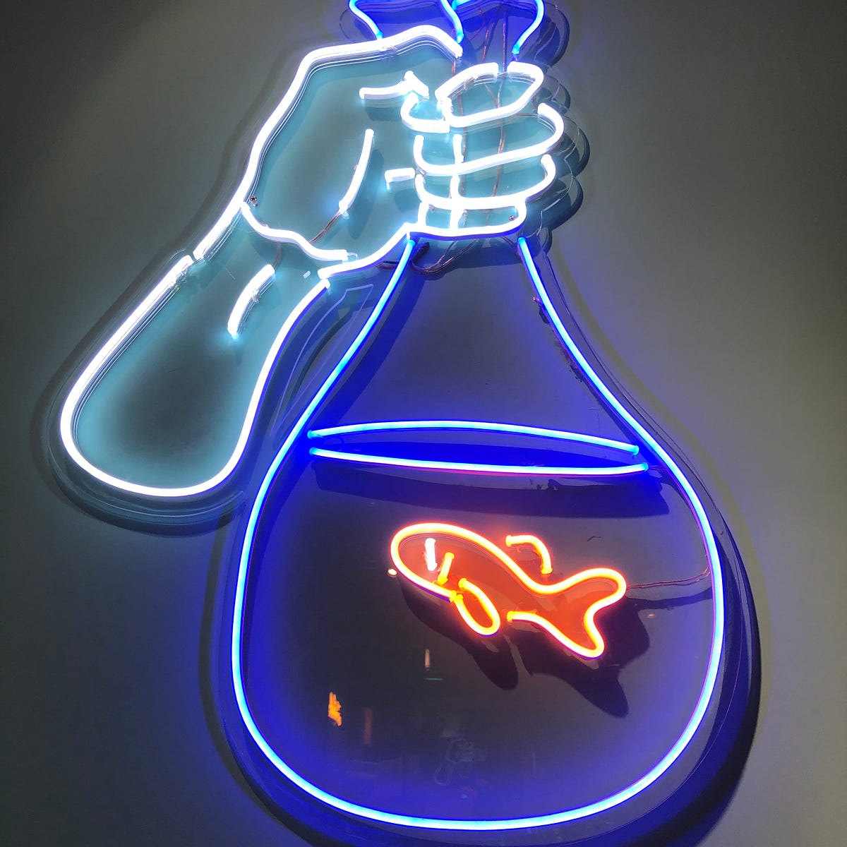 Fisholic. A Must-Go Restaurant for Fish Lovers! | by Missy Indy ...