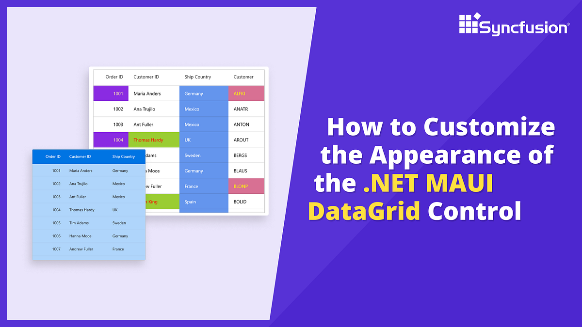 How to Customize the Appearance of the .NET MAUI DataGrid Control - Arun Raj - Medium