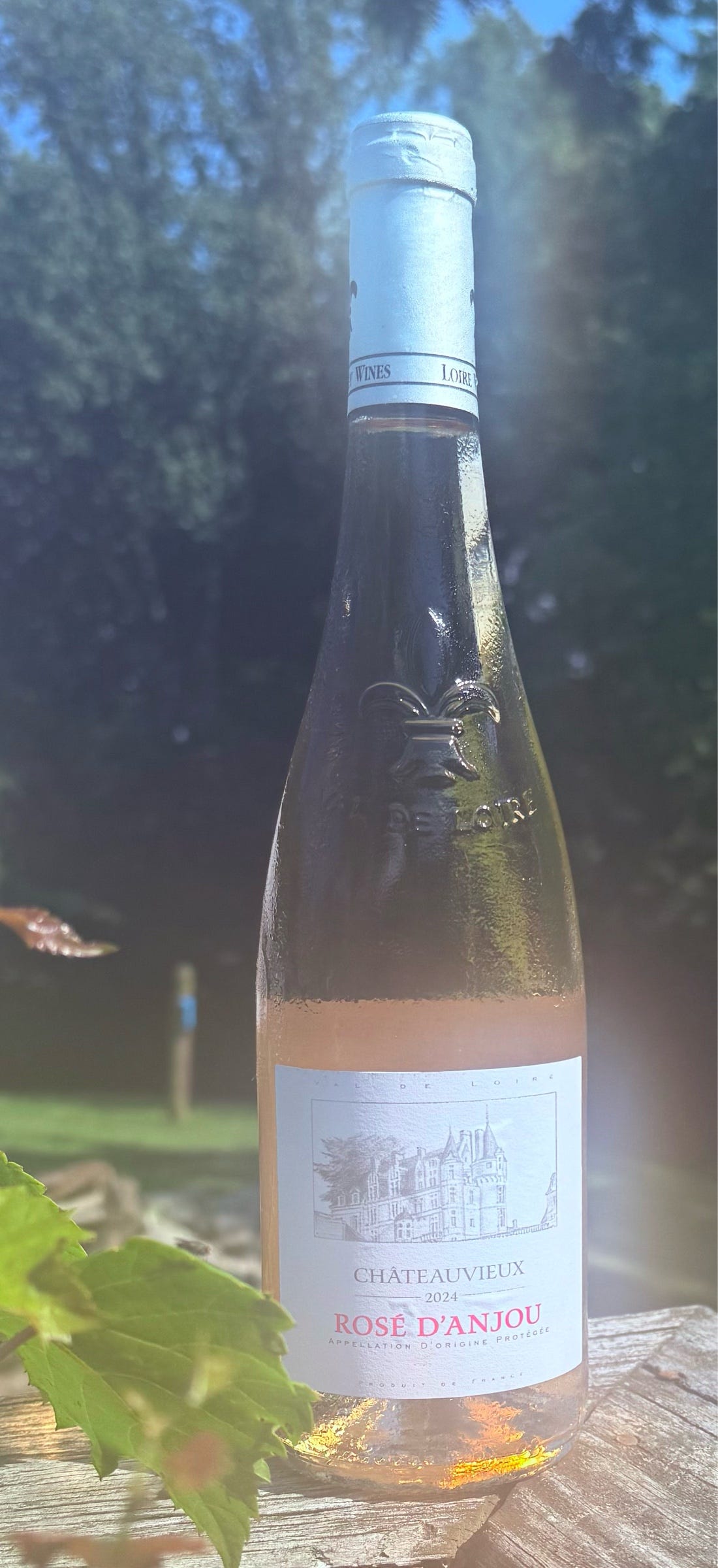 The Blended Portfolio. A glass of Rose after work….solves the… | by ...