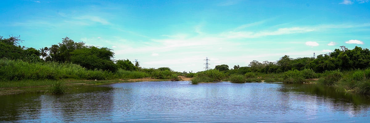 The Art of Living: NGO for Water Conservation in India | by Jal Tara ...