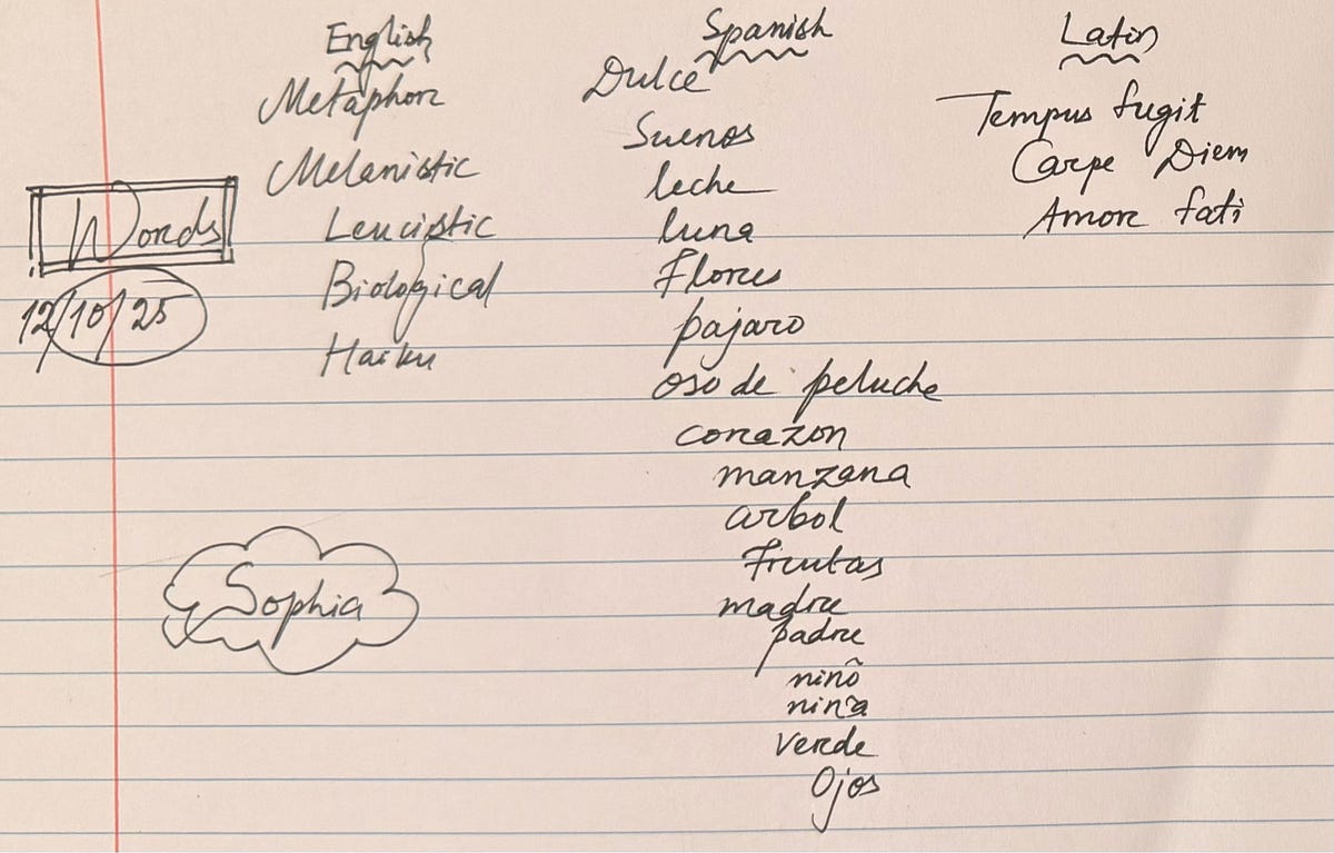 Logophile Delight. We love collecting words | by Dr. Seema Patel (PhD ...