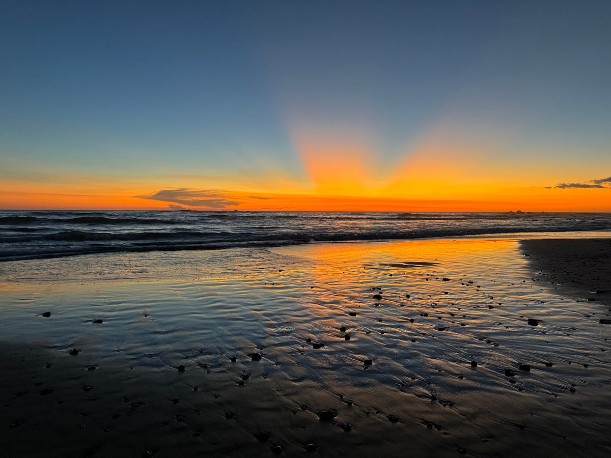 Feeling the Feelings. There are days when all I want is to… | by Ana ...