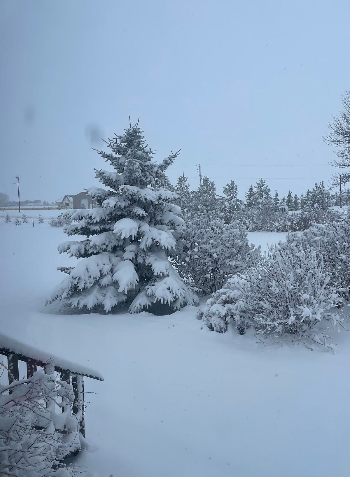 This Beautiful Winter Wonderland Has Its Pros And Cons | by Heather ...
