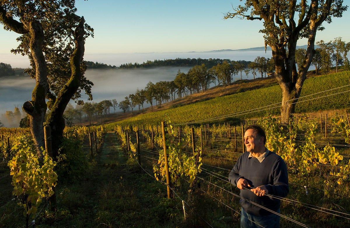 Raising a Glass to Nature: The Biodynamic and Natural Wine Movement ...