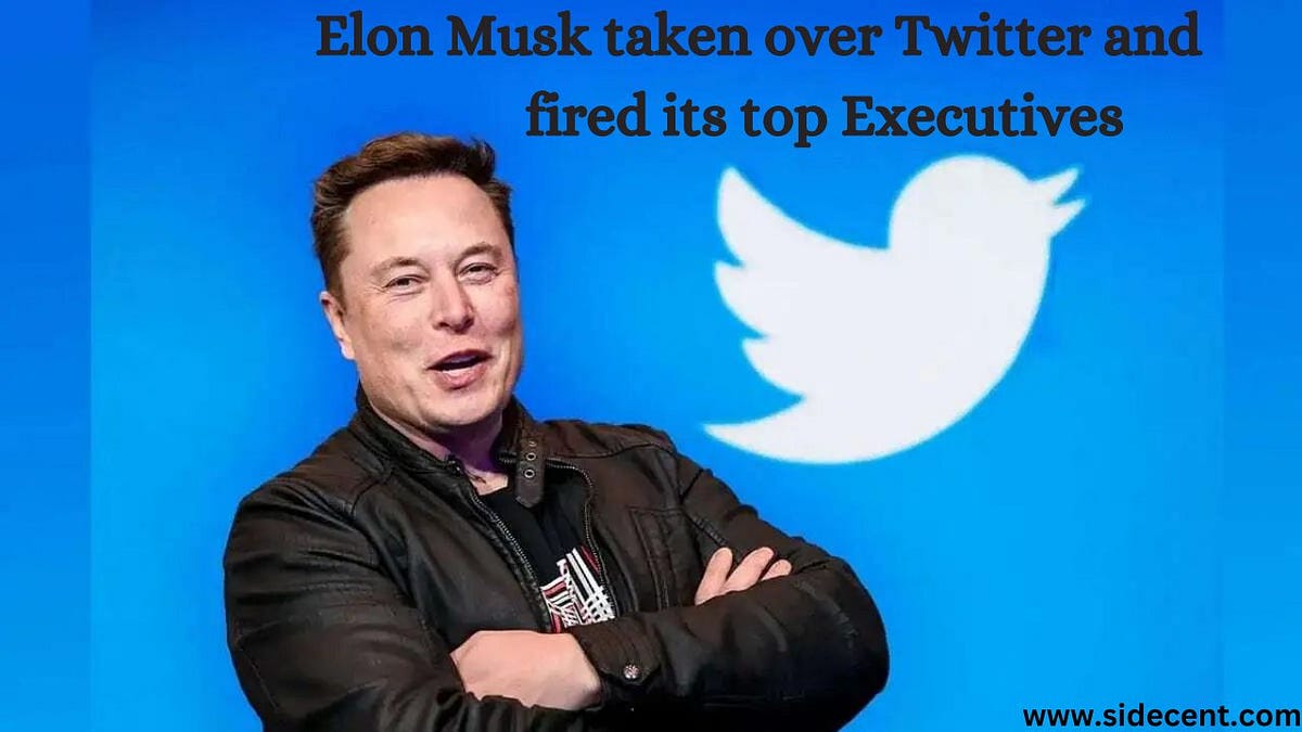 Elon Musk taken over Twitter and fired its top Executives | by SHOKAT ALI | Medium