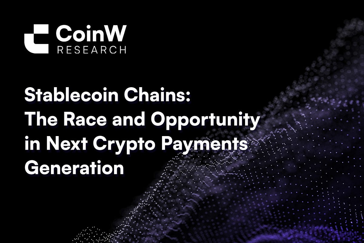 Stablecoin Chains: The Race and Opportunity in Next Crypto Payments ...