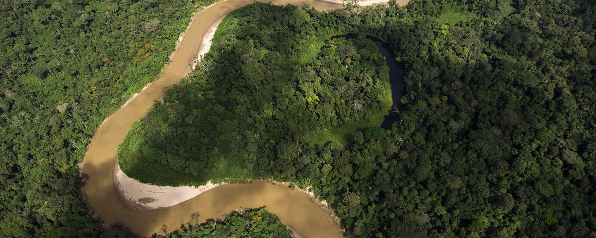I Am Amazon: Discover your connection to the rainforest with Google ...