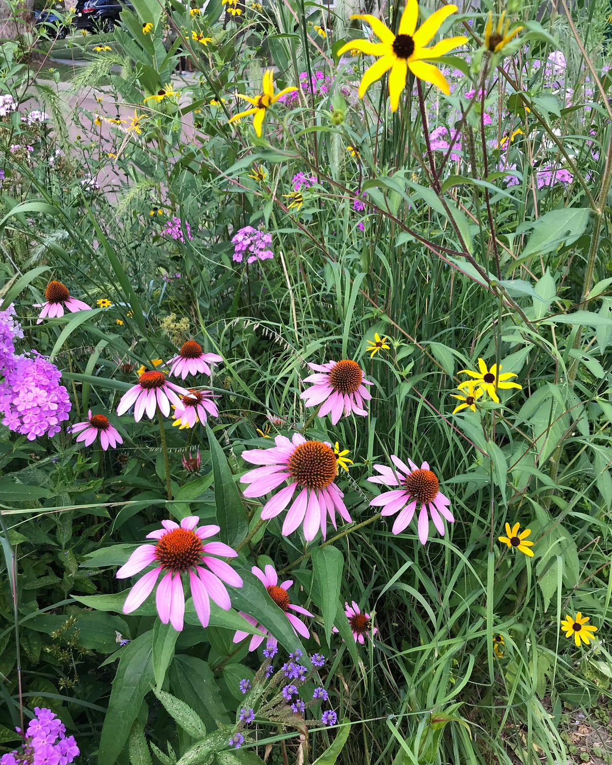 Micro-Prairie Quick Reference. Over the last couple of years I have ...