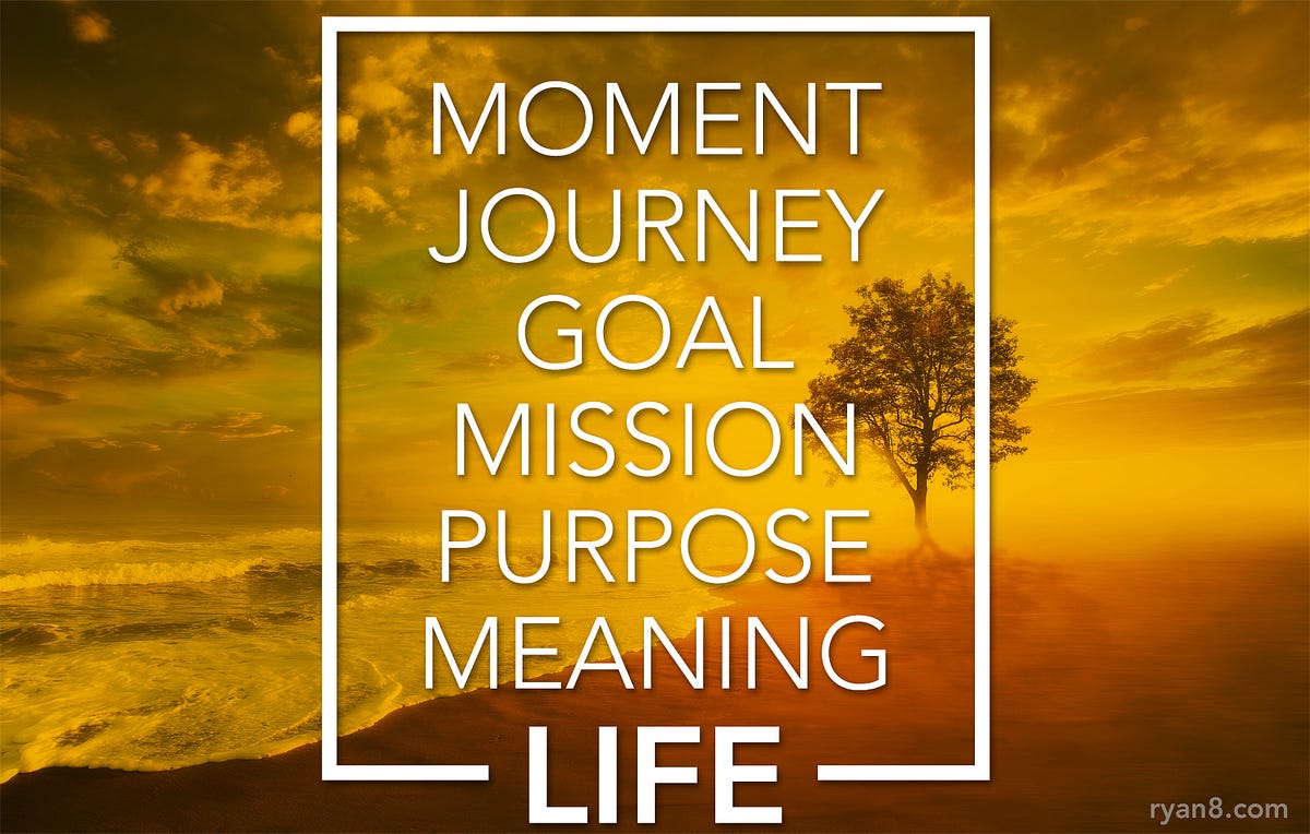 The 7 Phases Of Life. These are the seven phases of life —… | by Ryan ...