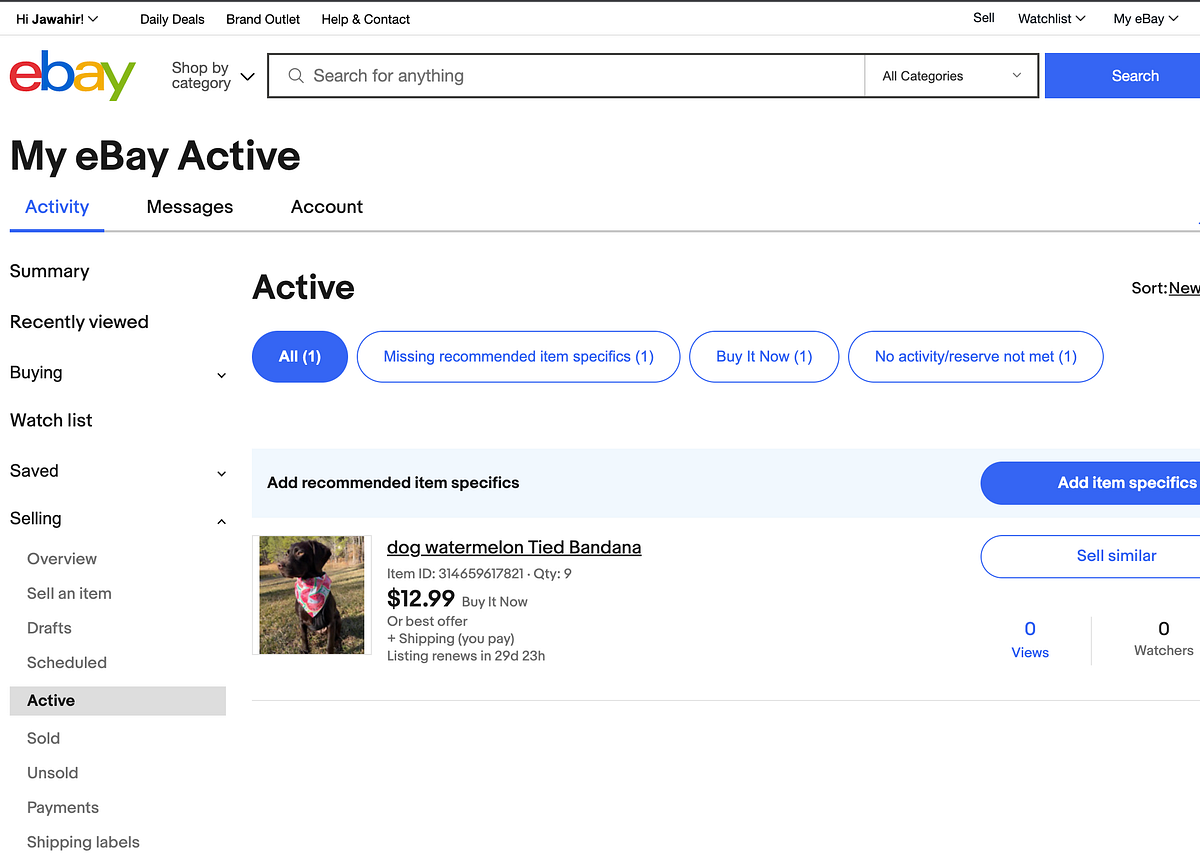 Unleashing Success: My eBay Selling Journey from Curiosity to Conquest ...