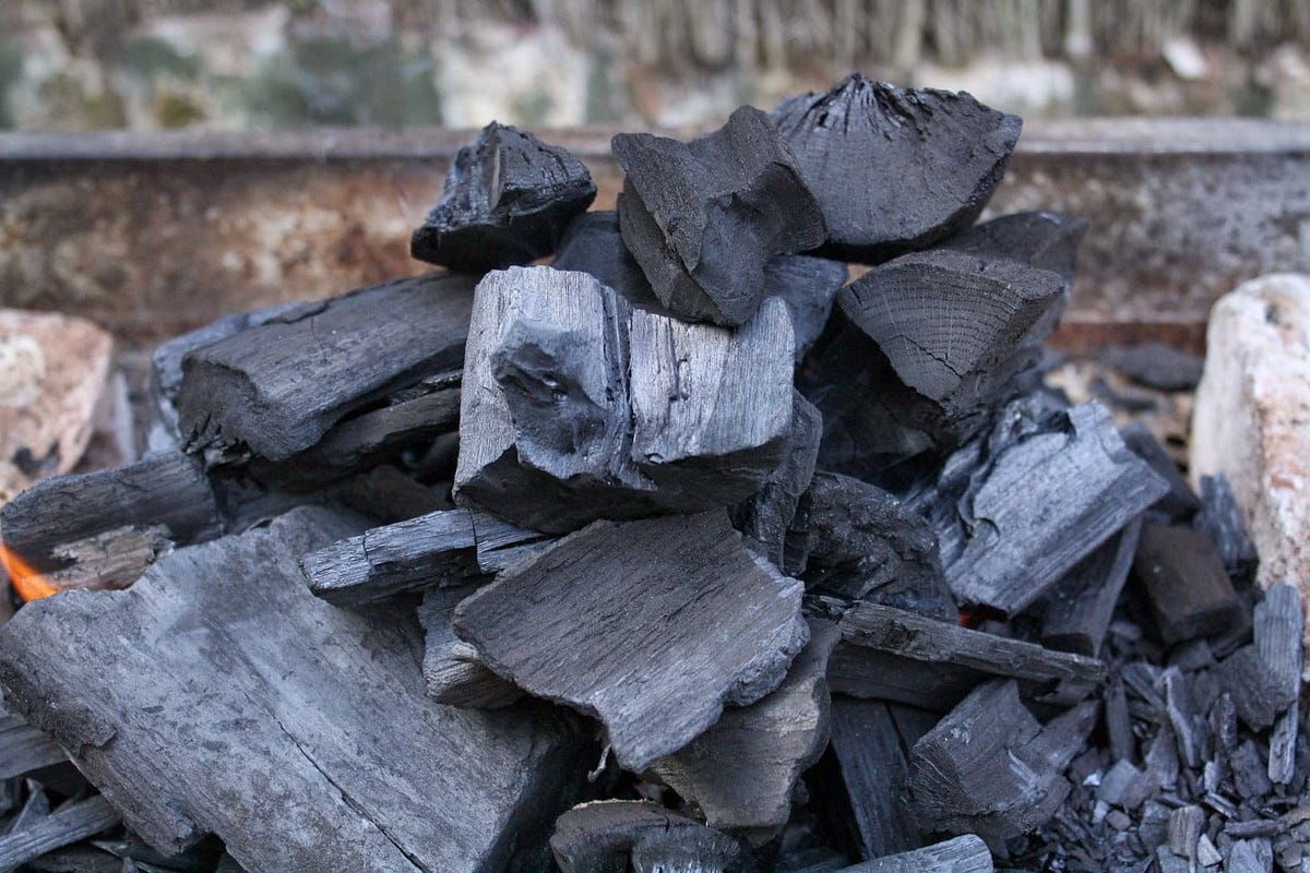 Charcoal Market Segment and Industry Growth by Forecast to 2030 | by ...