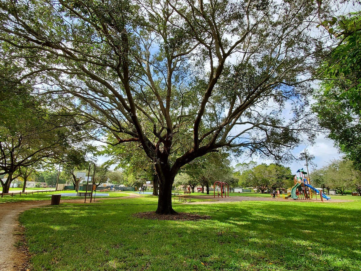 A Tale of Three Parks. This is the tale of three parks in… | by ...