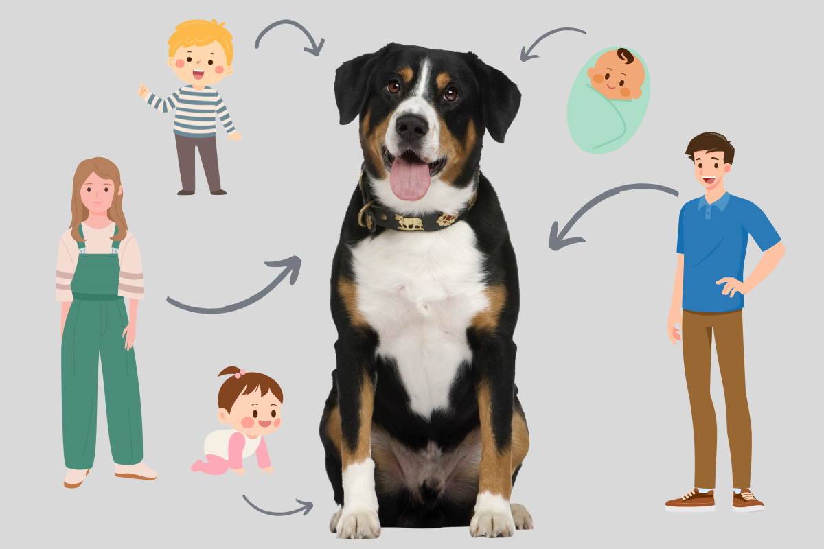 Plausible Reasons You Need a Dog at Each Parenting Stage | by Jennifer ...