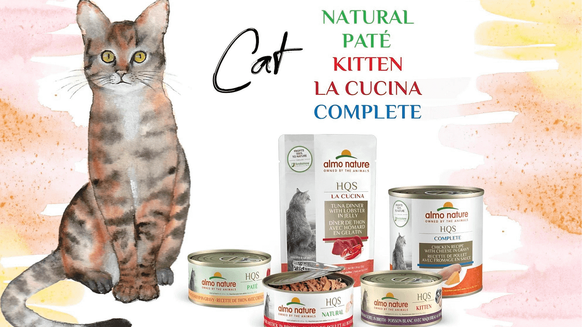 Your Complete Almo Nature Cat Food Feeding Guide 2024 | by ...