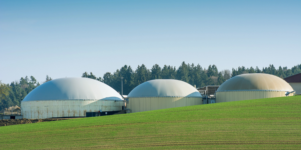 The unsung hero of the energy transition: The case for bioenergy | by ...