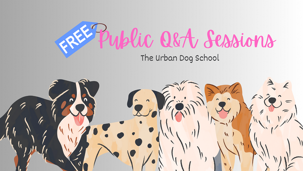 FREE Q & A discussion series! - Social Dogs, LLC - Medium