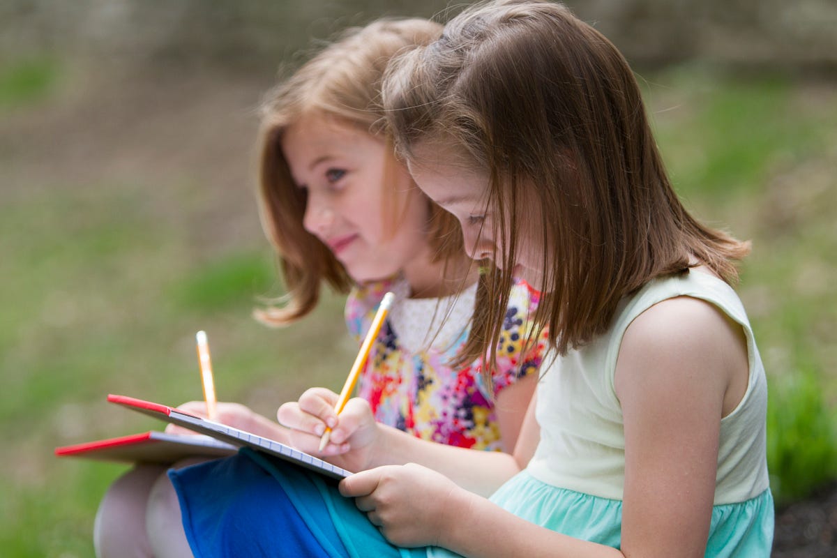 Performance Assessment: What Is It and Why Use It? | by McGraw Hill ...