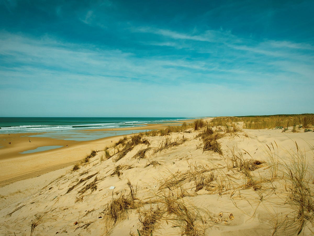 Why Biscarrosse is one of European Best Surfing Spots? | by Francesco ...