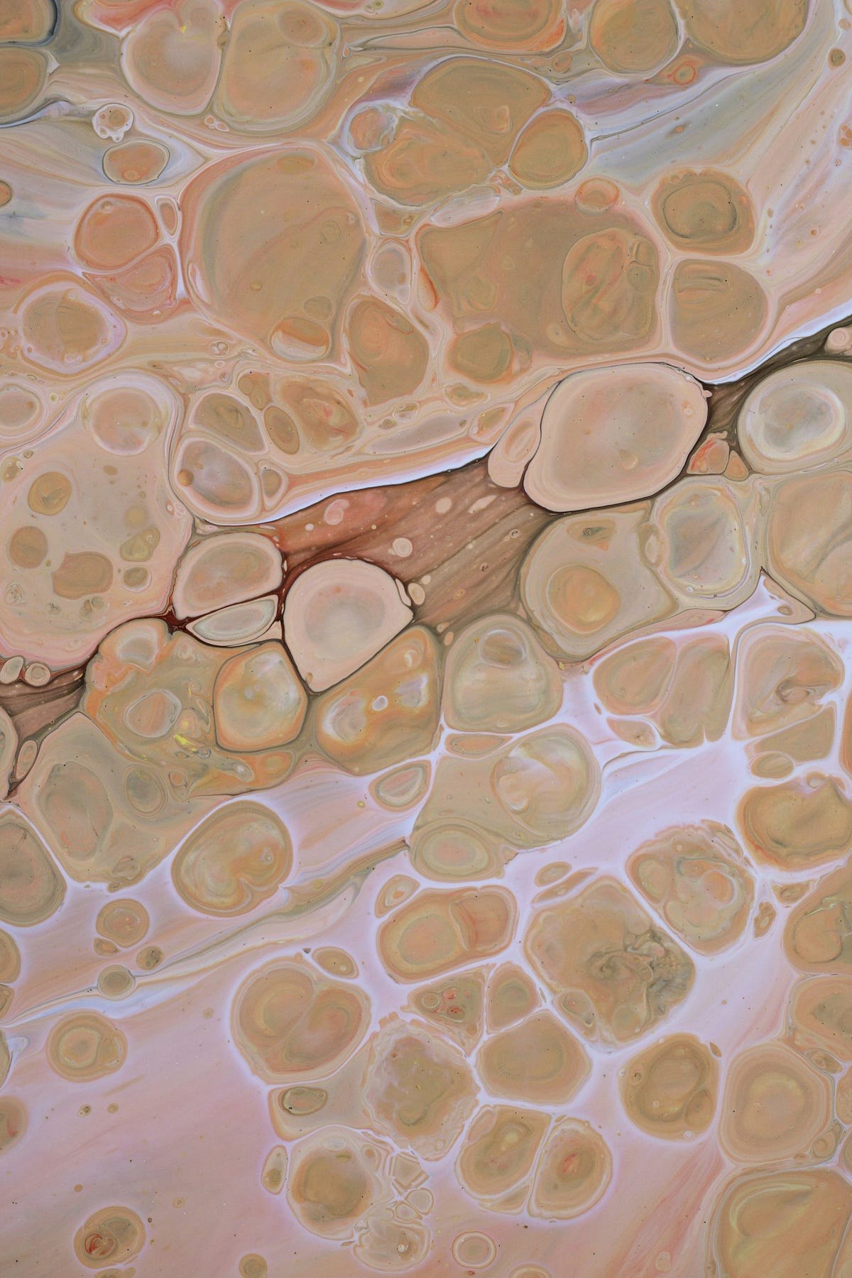 Longevity Briefs: Lower ‘Bad Cholesterol’ May Significantly Reduce ...
