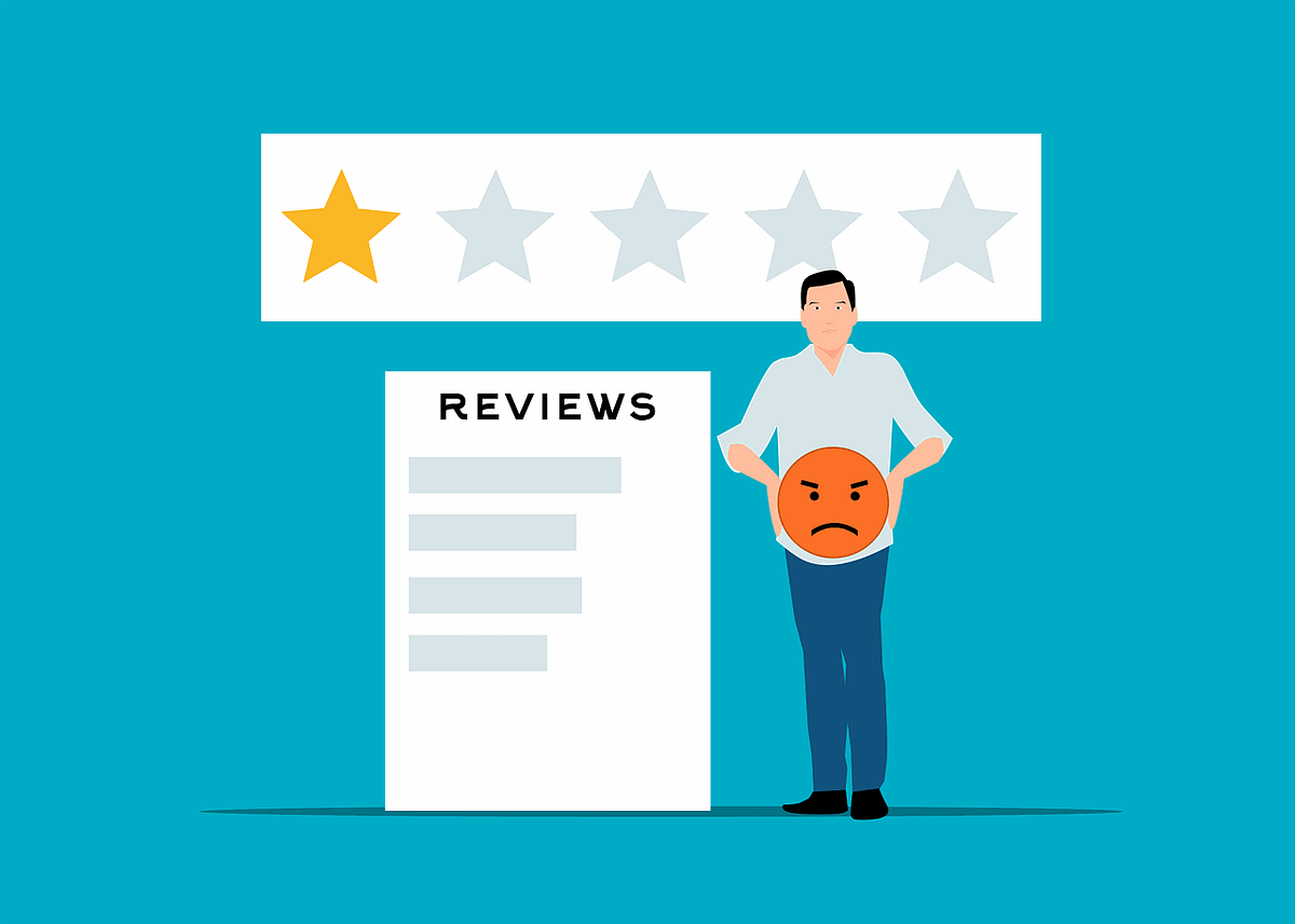 The Paradoxical Power of Reviews: Understanding Their Impact on ...
