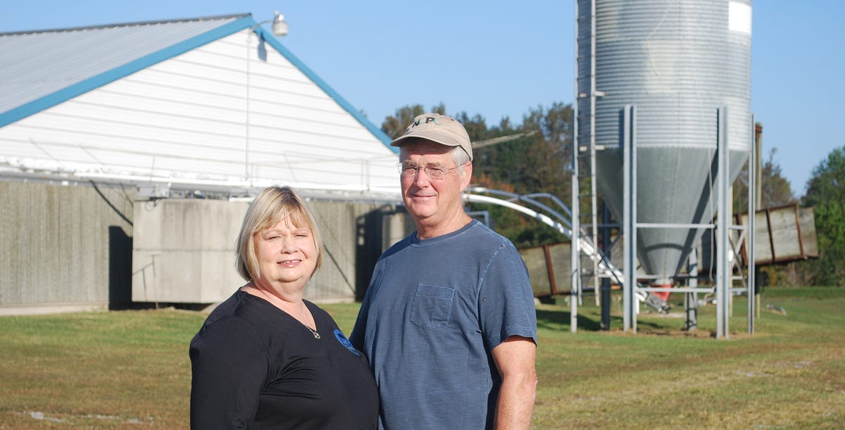 Environmental Sustainability: Continually Improving | by Jan Archer ...