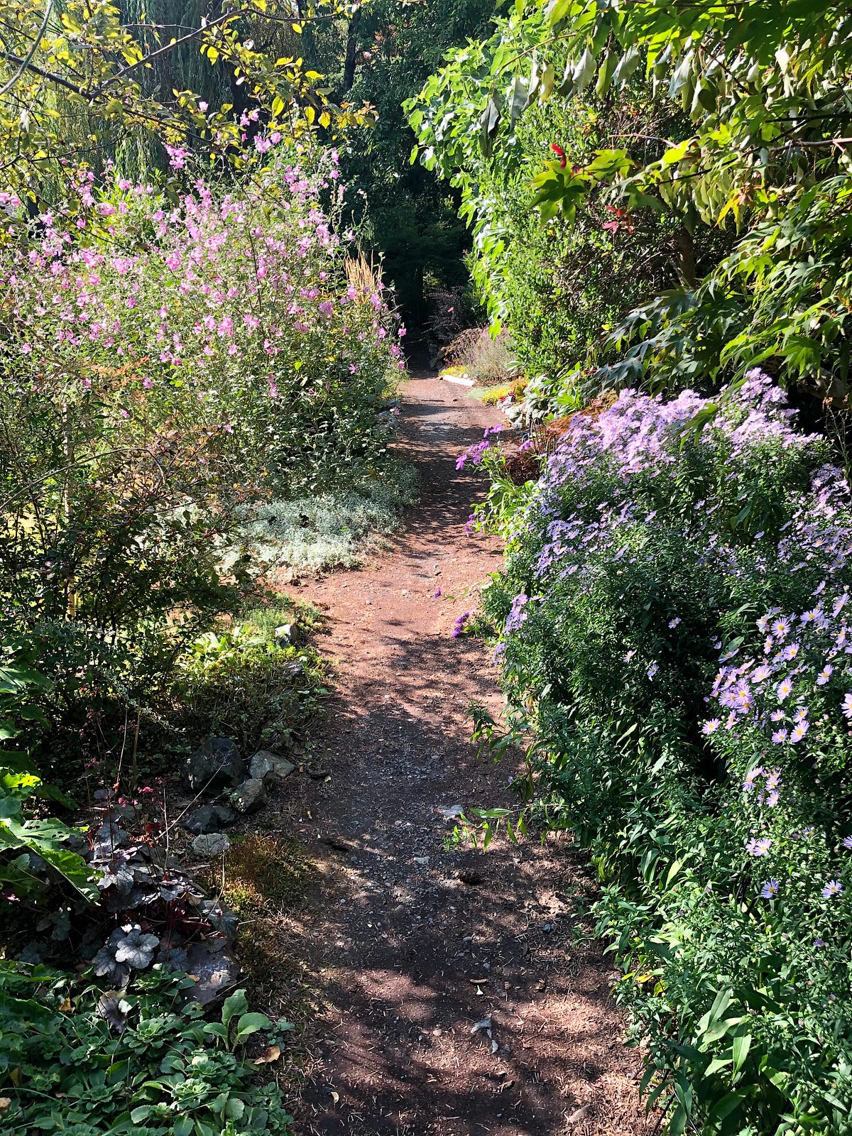 Keeping it Simple- Not Perfect. A tiny life moment about life not being ...