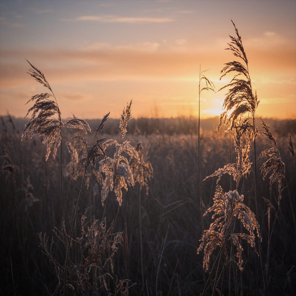Do You Need a More Modern Photography Workflow? Time to Say Goodbye to ...