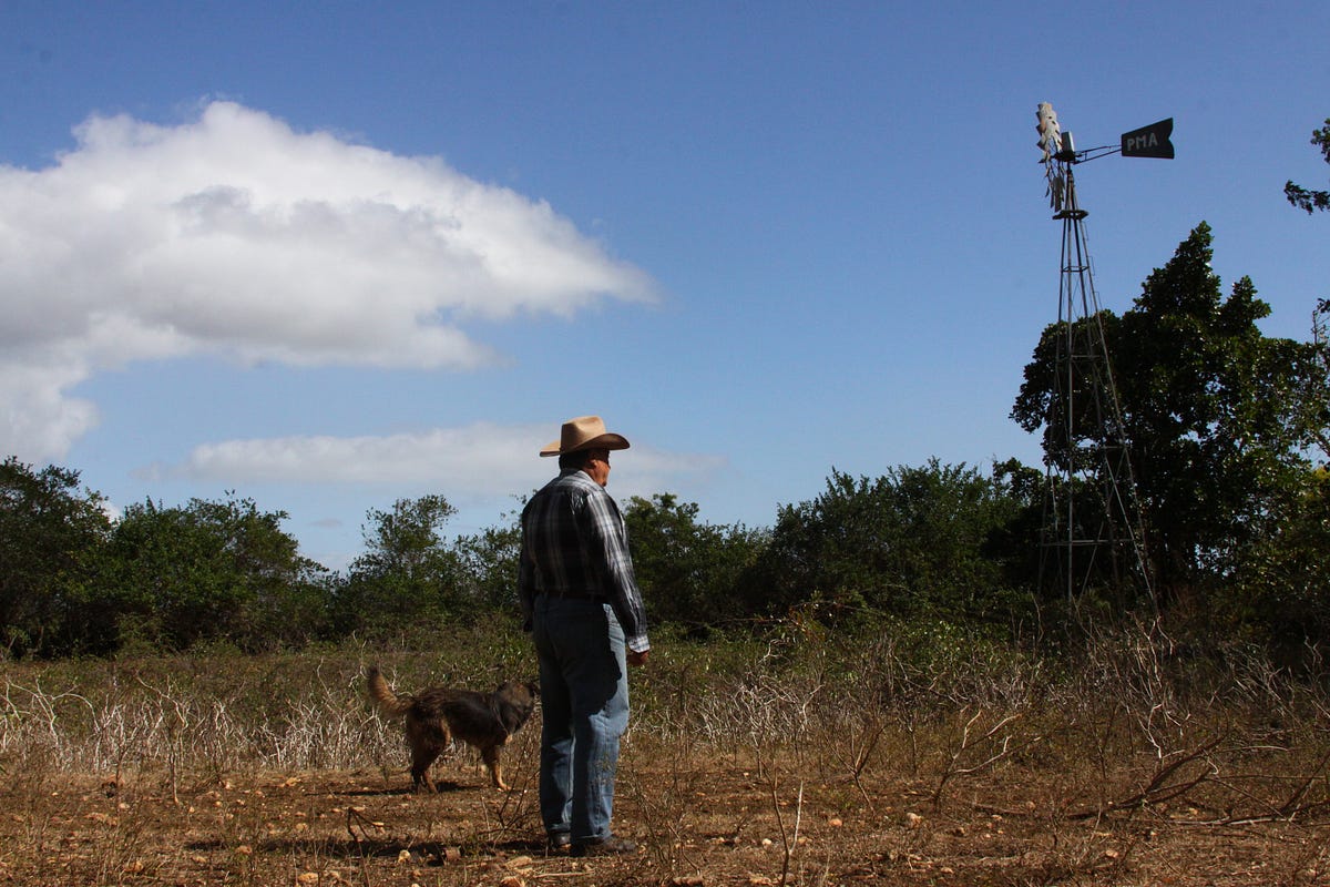 Drought and food security in Cuba: between science and intuition | by ...