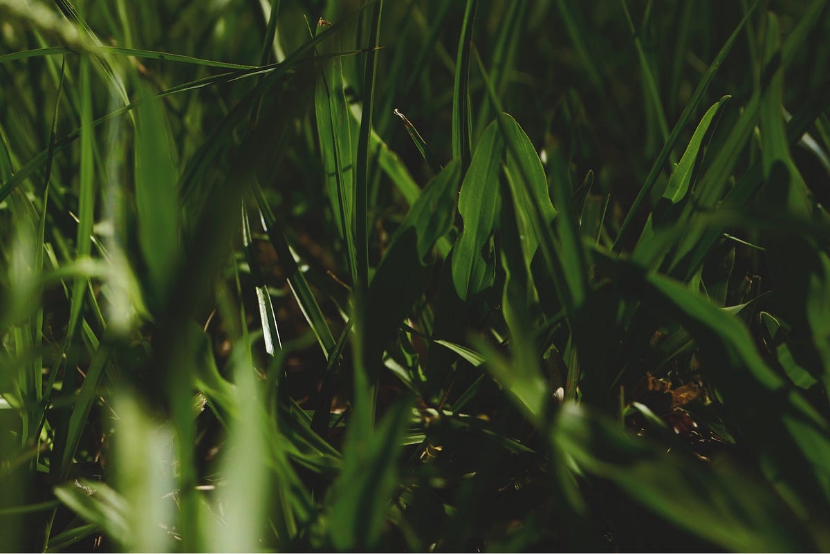 Feedback Loops, Candor, and Turning a Good Idea Into Something Great ...