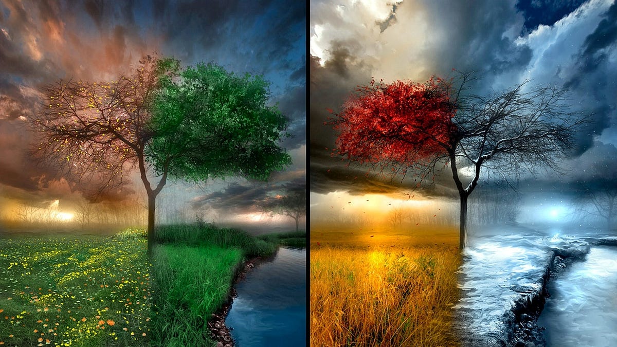 How Life Is A Lot Like Seasons. Seasons change, and we grow… | by Steve ...