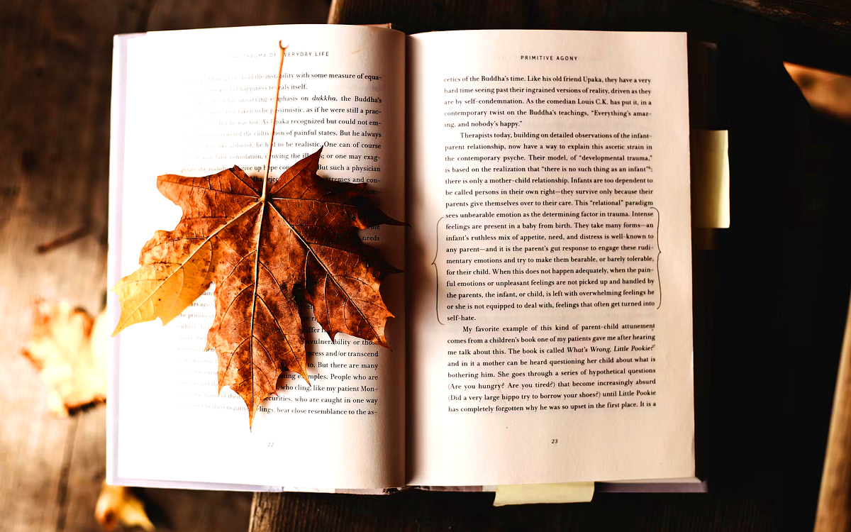 5 Autumnal Reads to Cozy Up With This Season | by Rachael Arsenault ...