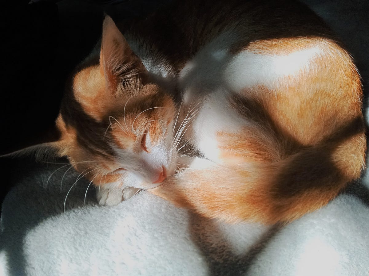 the worst kind of heartbreak. It’s the fourth night without you and I ...