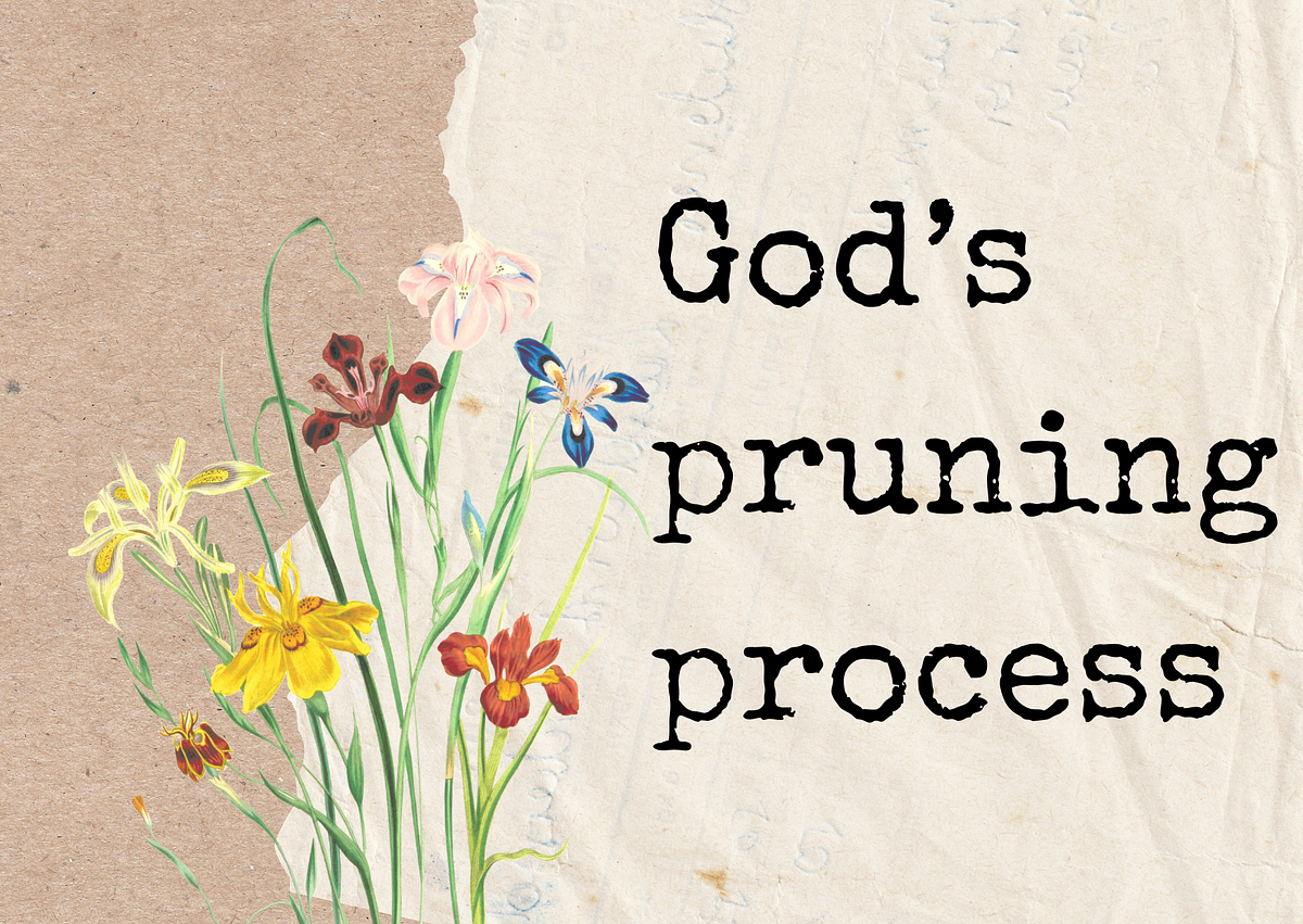 God uses whatever you are facing to prune you | by Colin Ng | Medium