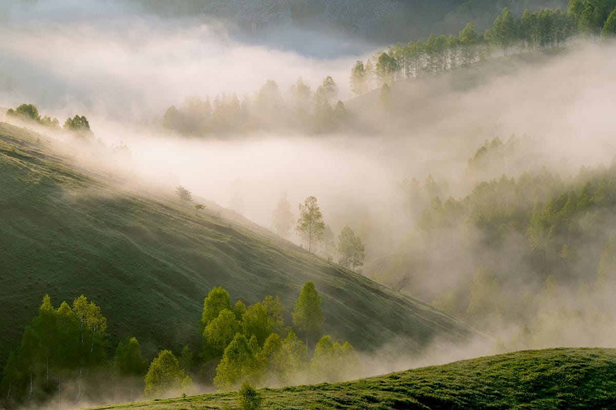 The Quiet Return of Pastoral Aesthetics in Modern YA | by Mhairi Evans ...