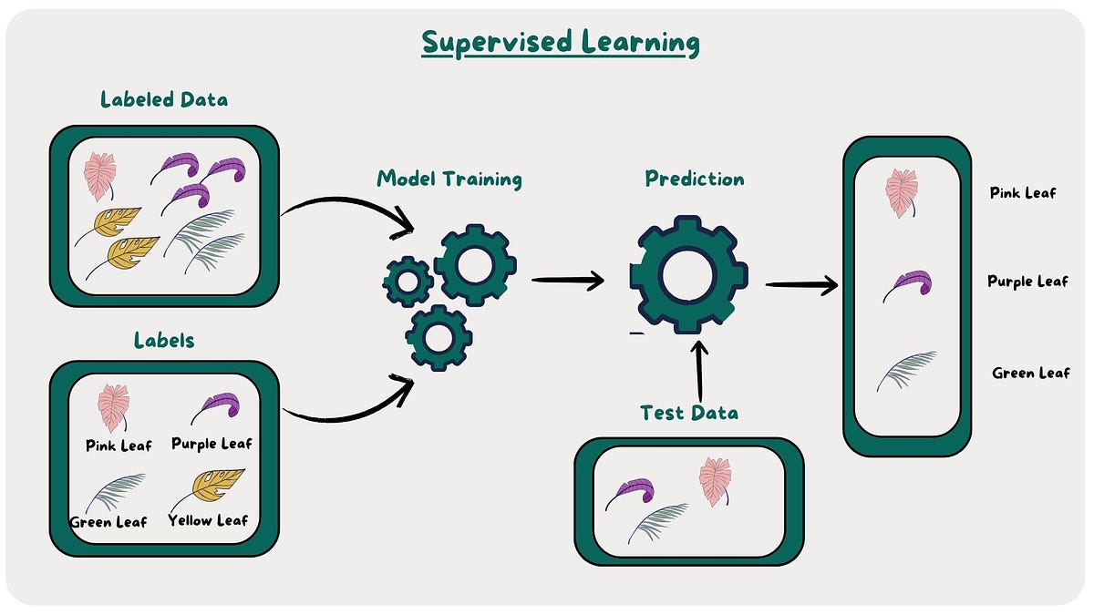 Supervised vs Unsupervised Learning: A Beginner-Friendly Guide (With Python Examples) | by Rita ...