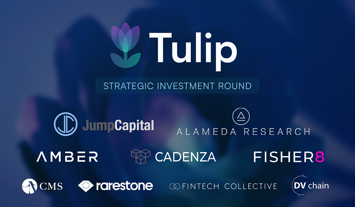 Tulip Protocol raises $5M from Jump Capital, Alameda Research, Amber Group, Cadenza Ventures ...