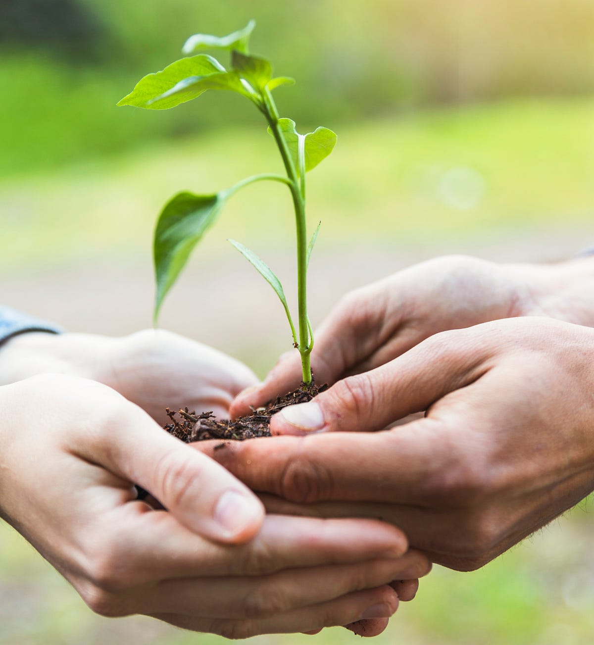 Our Circular Eco Economy (V). Solution: Compassion Network of Giving ...
