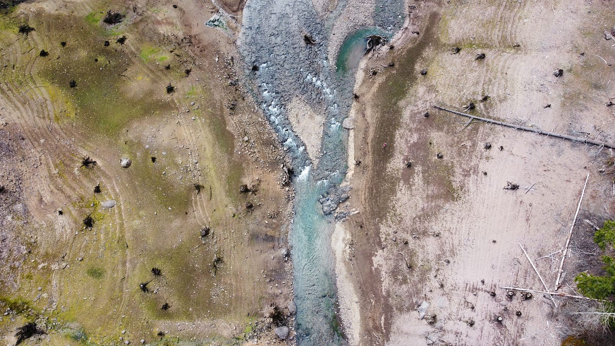 Coining the Term ‘Land Management Design’ | by Liz Koonce | Medium