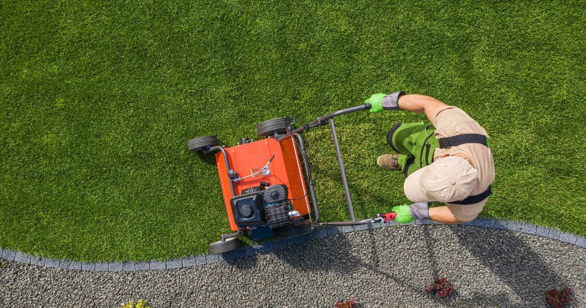 Lawn Aeration Service: Breathing Life into Your Green Oasis | Medium