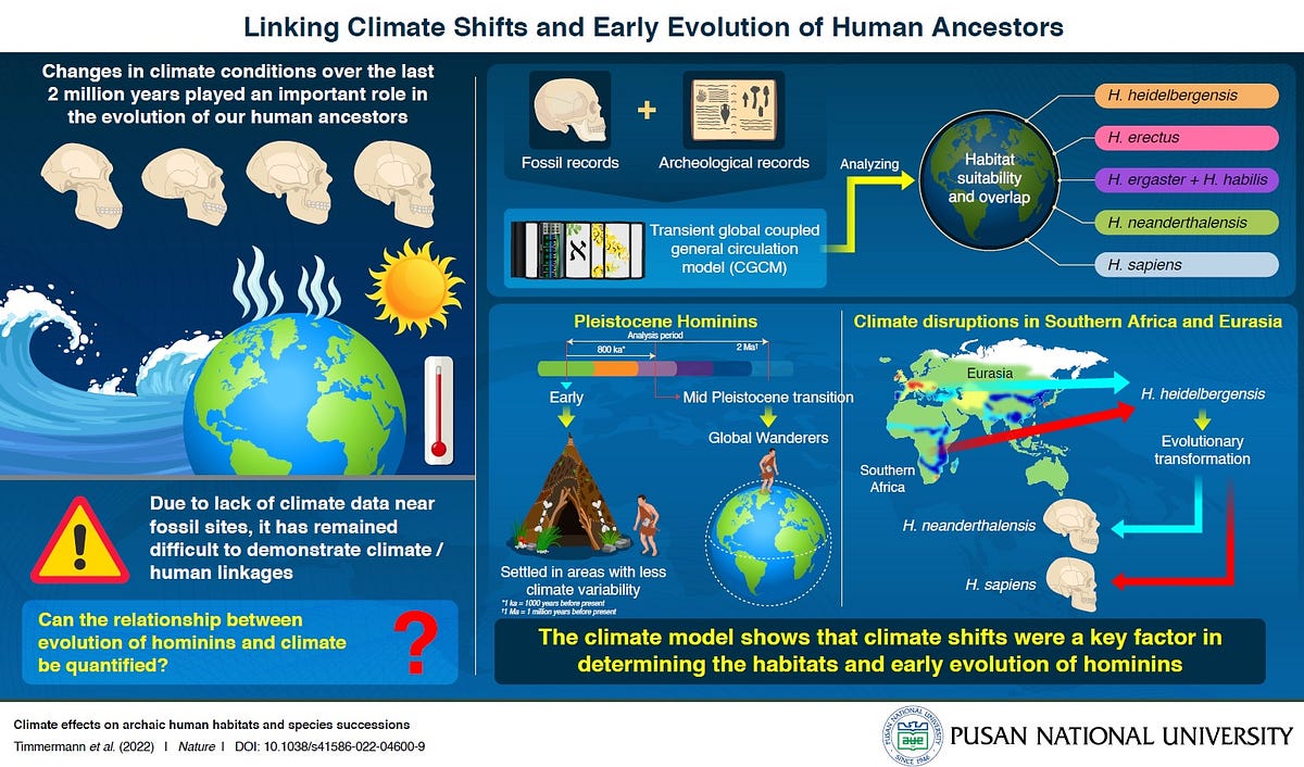 Pusan National University Researchers Link Early Human Habitats to Past ...