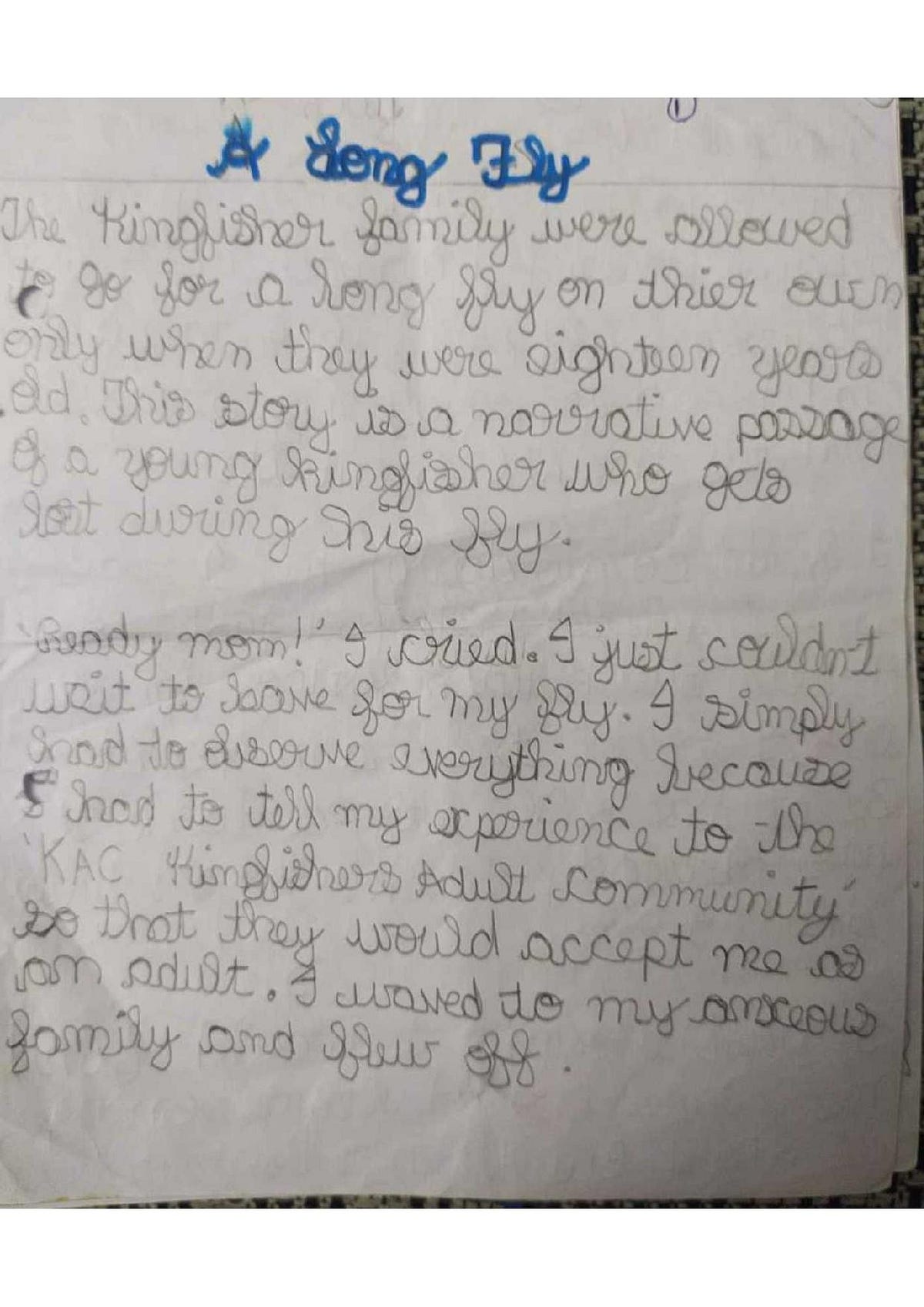 A Long Fly - Janani Sundararaman - Medium