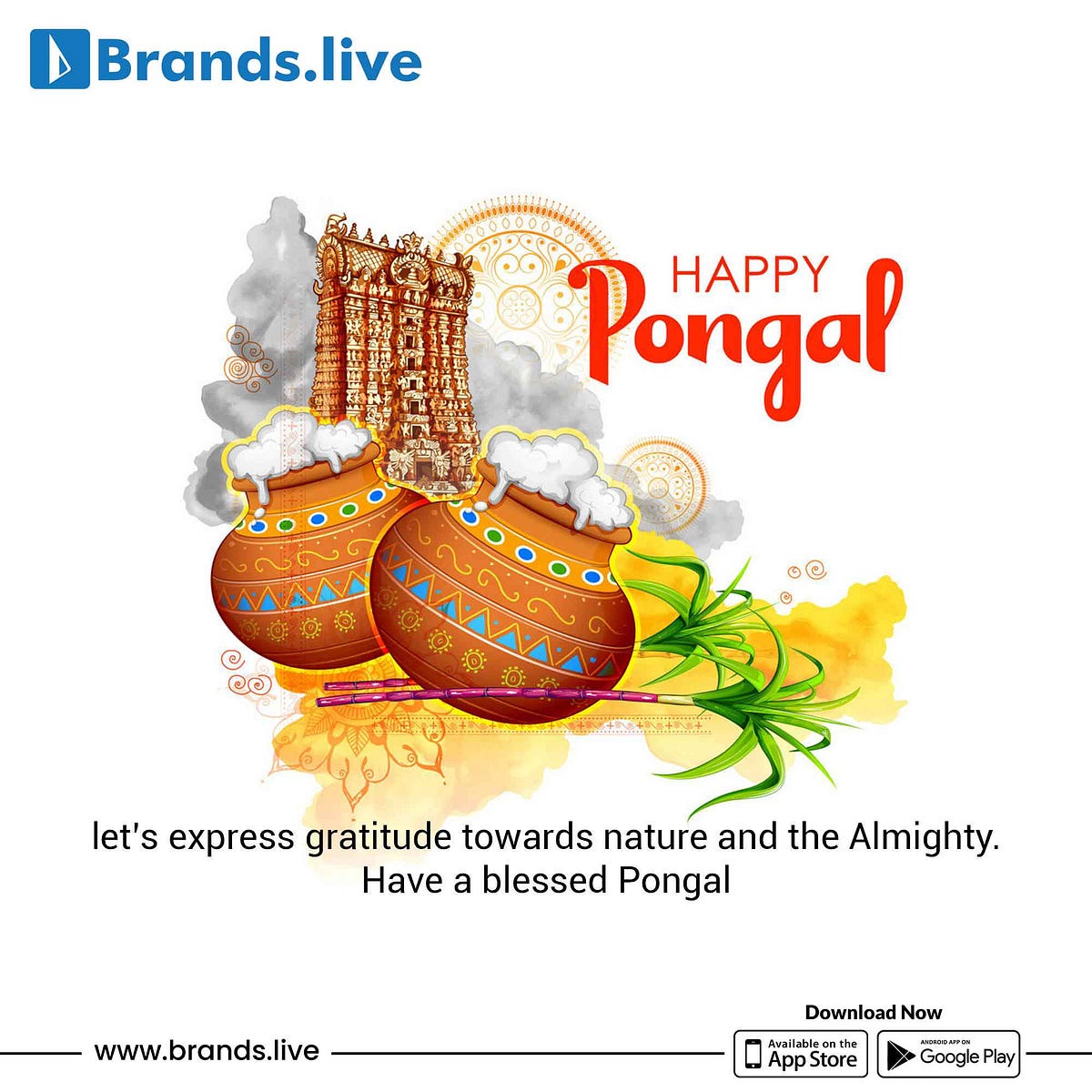 Pongal: A Brief History. Pongal is an ancient harvest festival… | by ...