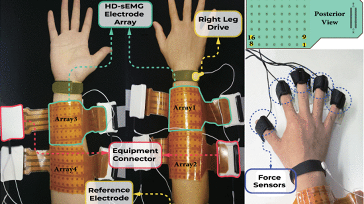 Beyond Architecture For Emg Based Gesture Classification By Dere Mustapha Nov 2023 Medium