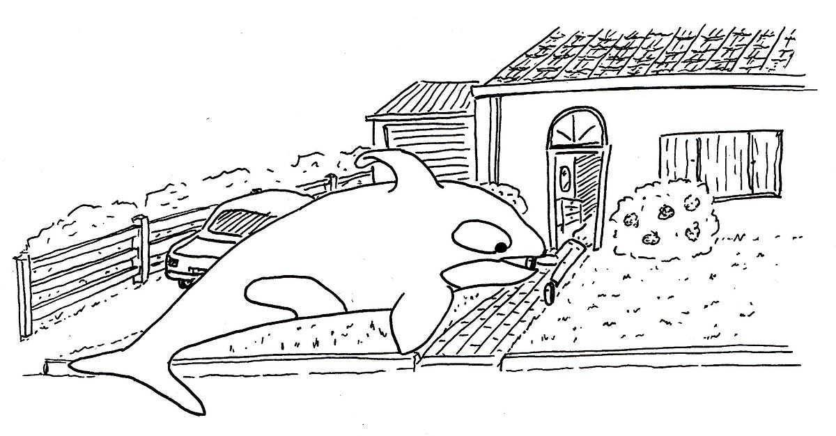 Free Willy Strikes Again. How a memory went from ‘dad joke’ to… | by ...